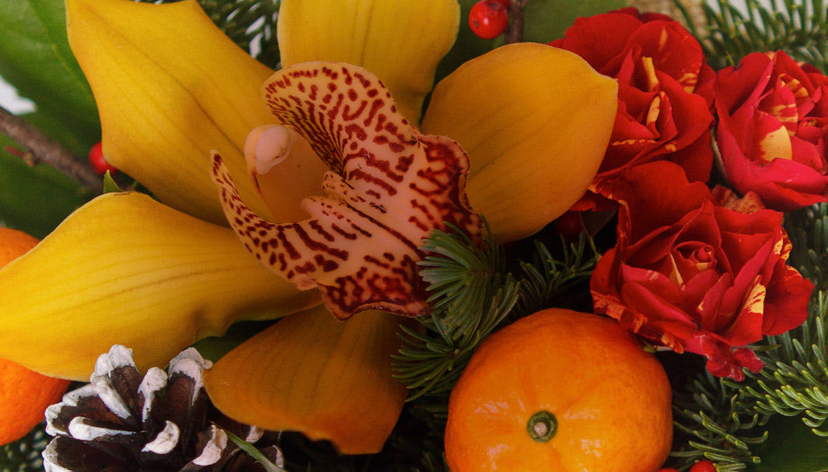Dallas, TX Same-Day Flower Delivery | Flowers by Coley Dallas